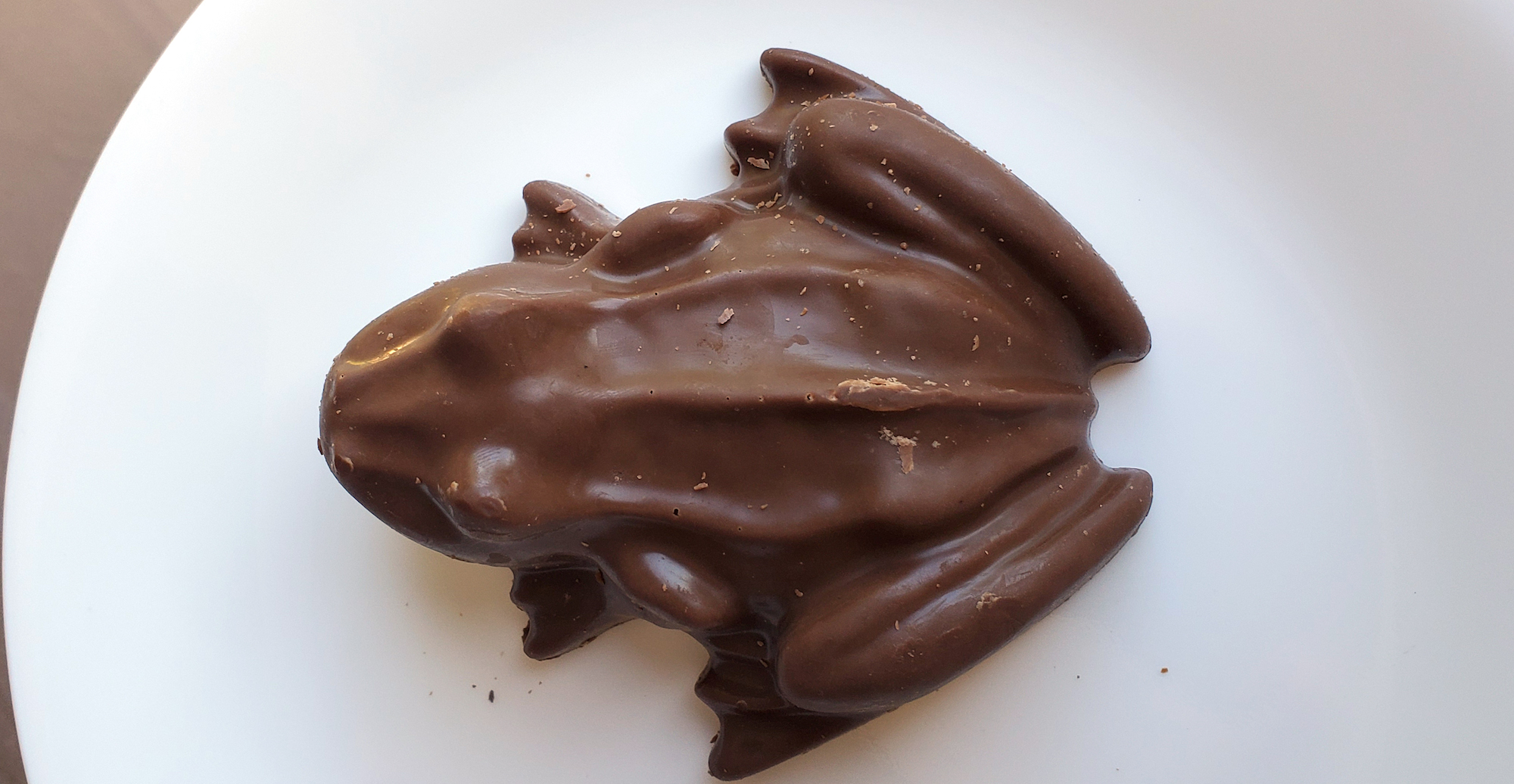 The SATURDAY SIX Explores the Magic Behind Chocolate Frogs at the ...