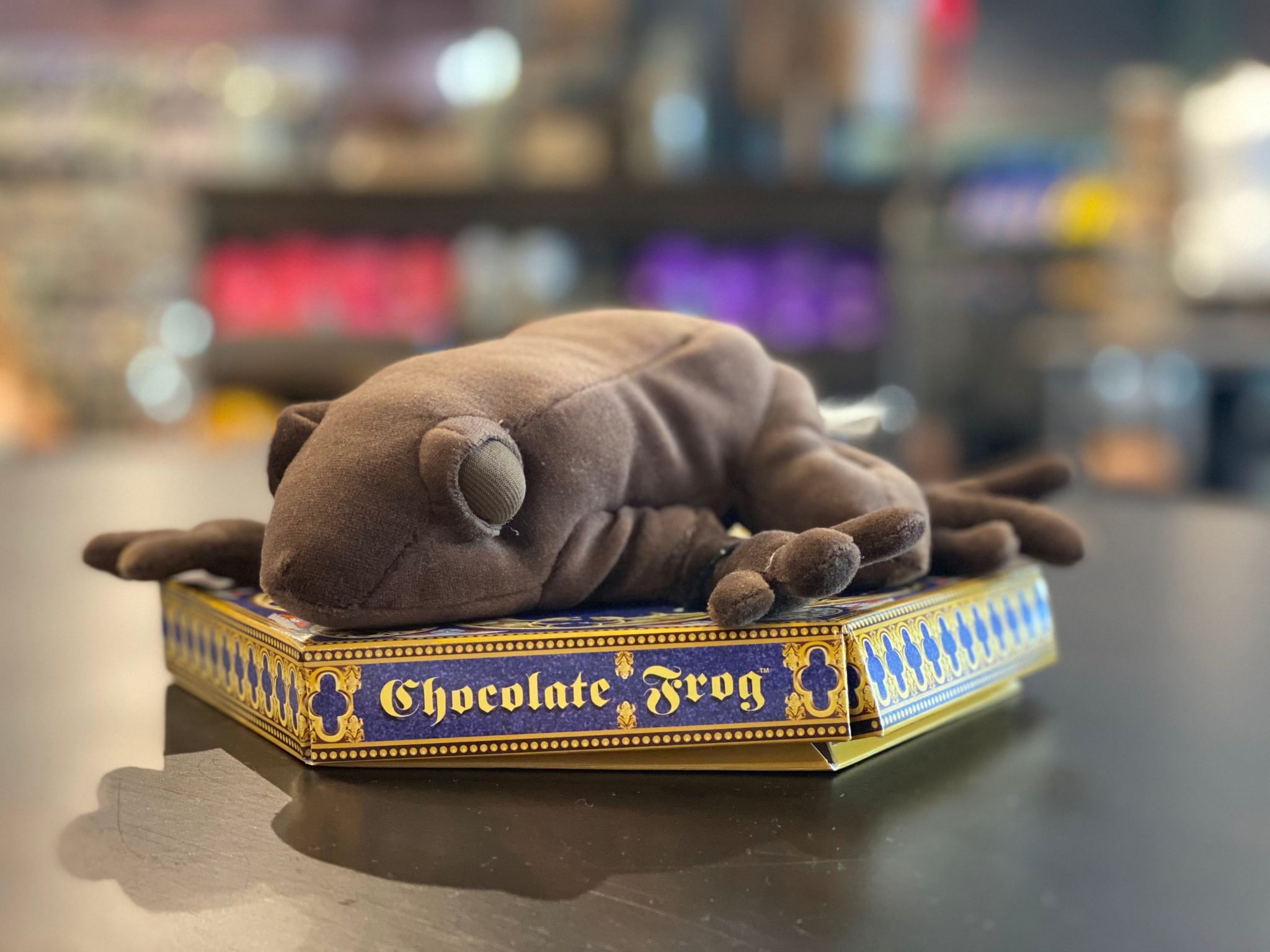 The SATURDAY SIX Explores the Magic Behind Chocolate Frogs at the ...