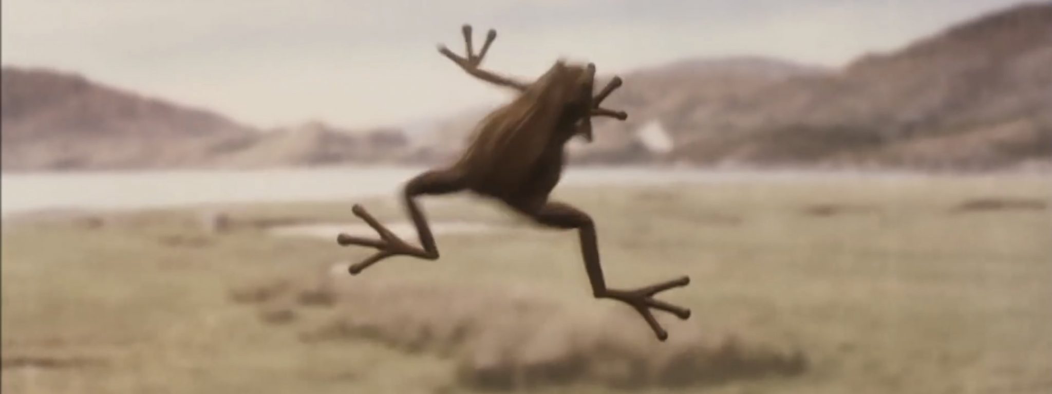 The SATURDAY SIX Explores the Magic Behind Chocolate Frogs at the ...