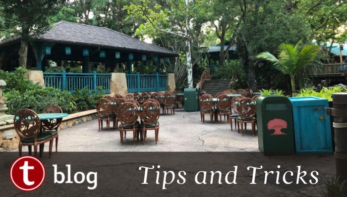 The Best Outdoor Dining at Walt Disney World’s Theme Parks ...