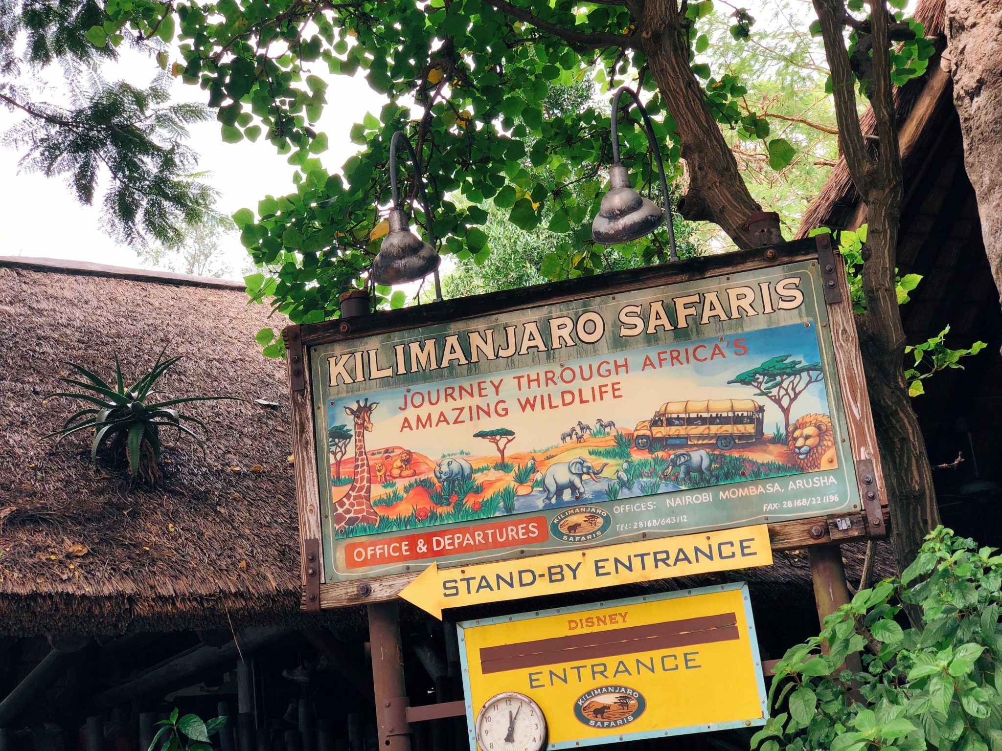 The Best Time of Year for Kilimanjaro Safaris is Here! - Disney by Mark