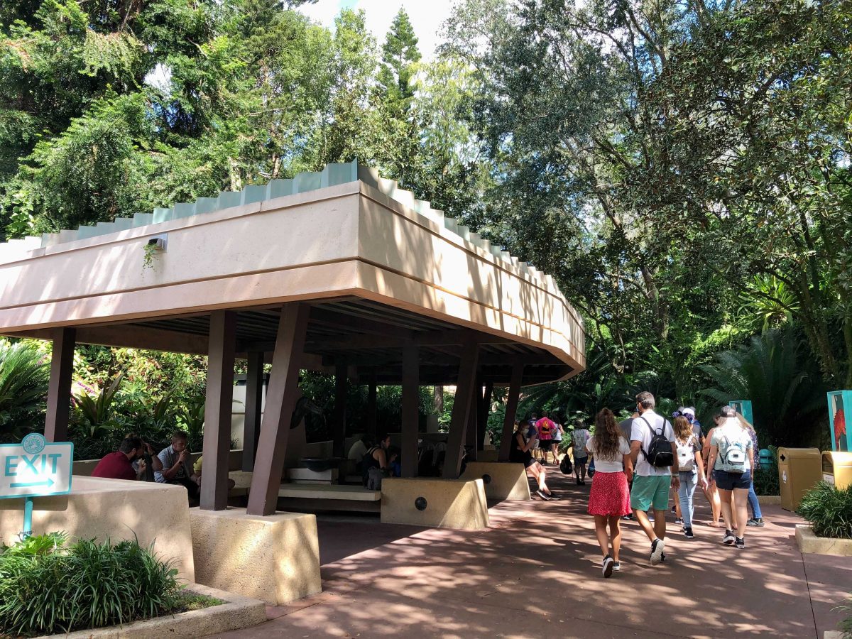 Where to Find the Exits for Disney’s Animal Kingdom’s Most Popular ...