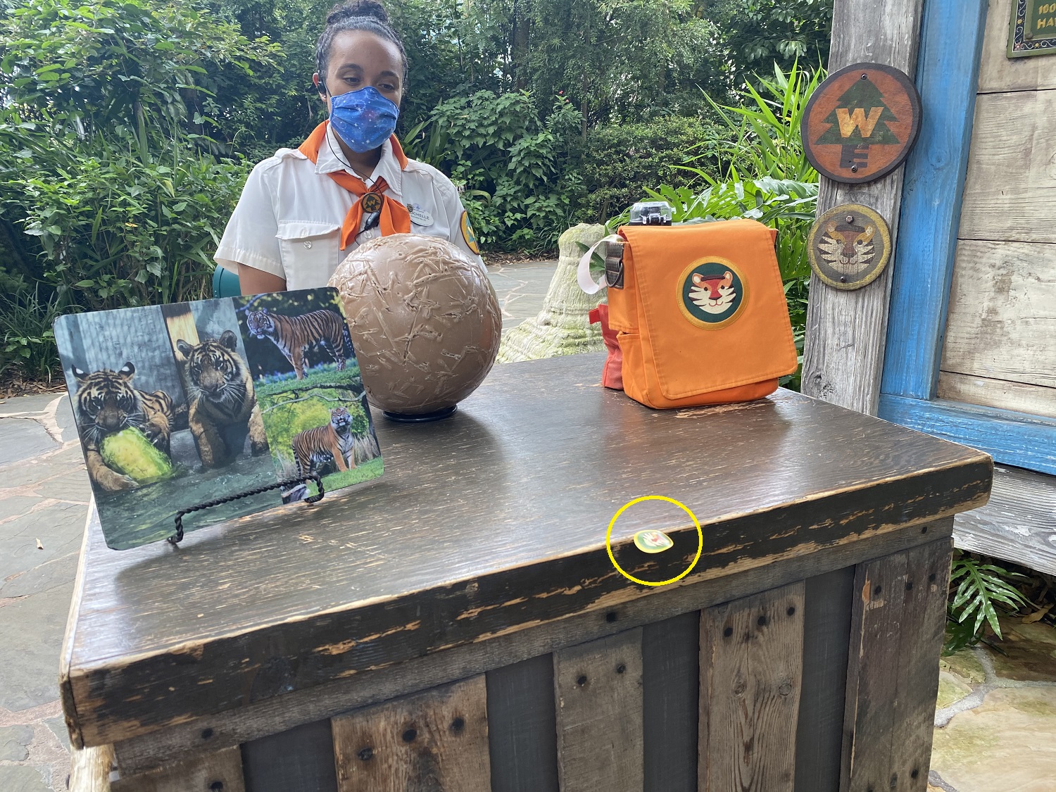 How to Participate in Wilderness Explorers Interactive Attraction at ...