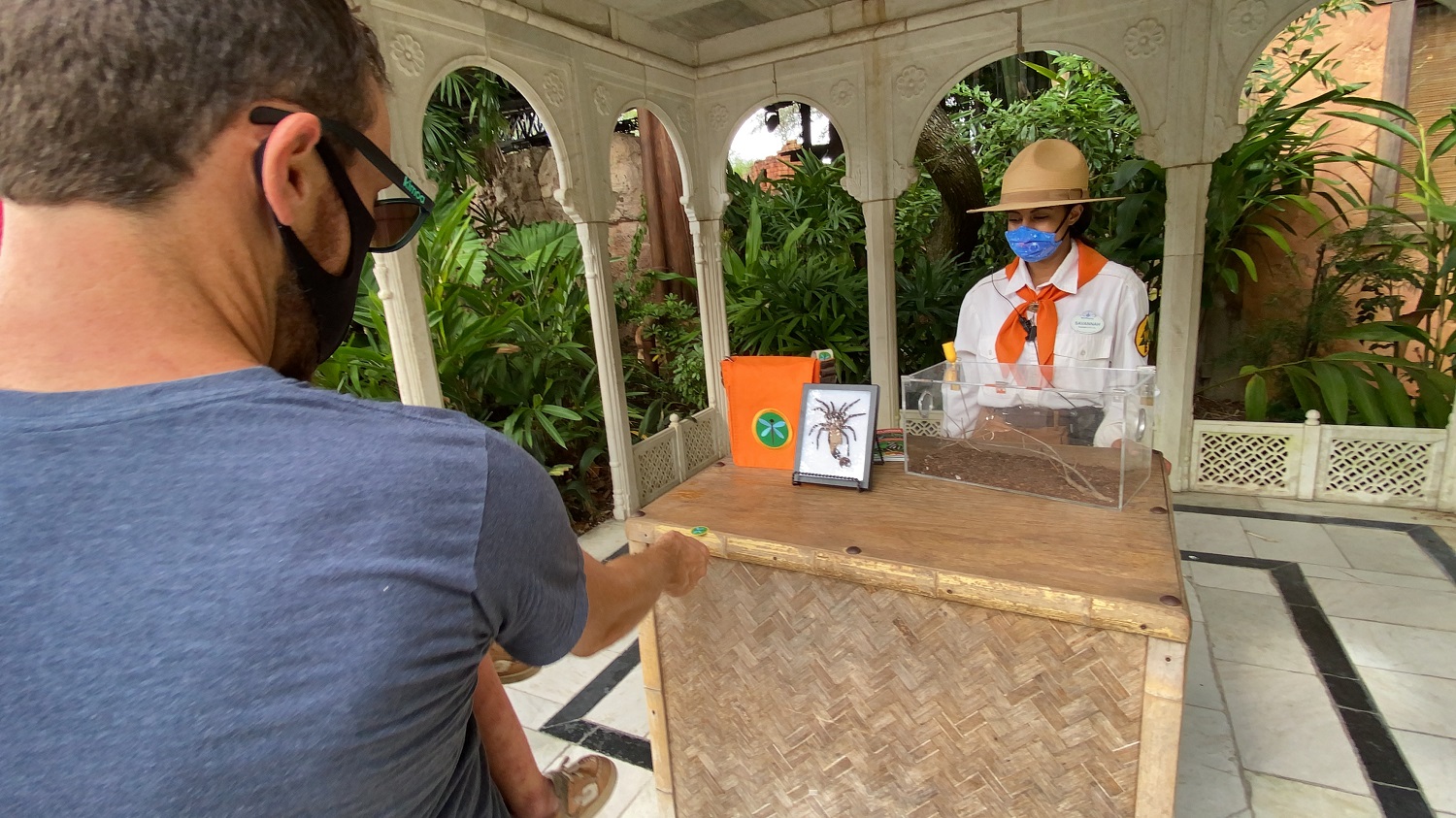 How to Participate in Wilderness Explorers Interactive Attraction at ...