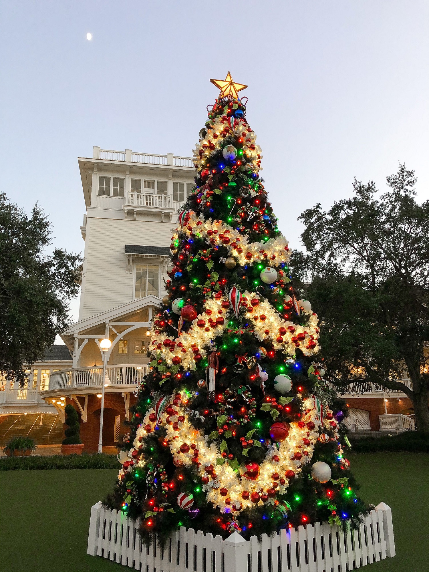 PHOTOS – Beautiful Holiday Decorations Arrive at Disney’s Boardwalk ...