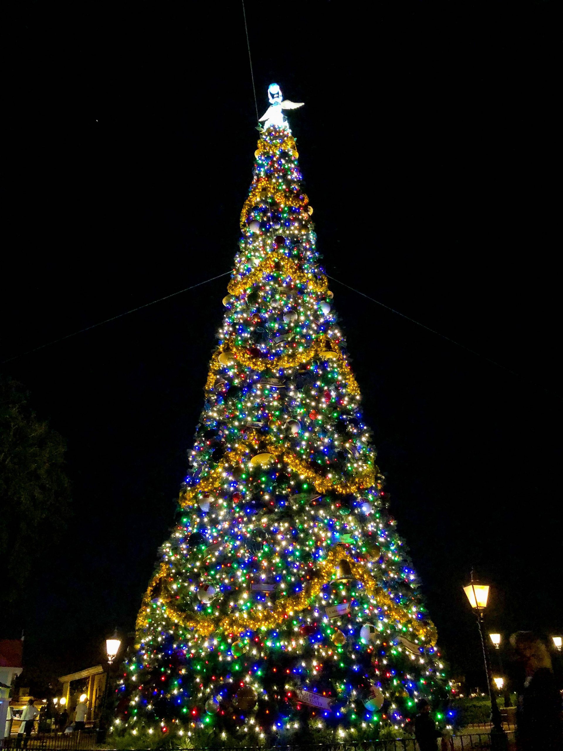 PHOTOS – EPCOT’s Christmas Tree Arrives and Coronado Springs Resort’s ...