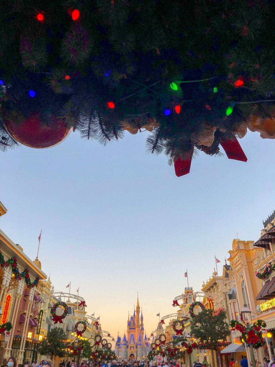 PHOTOS – Holiday Decorations and Christmas Tree Arrive at Magic Kingdom ...