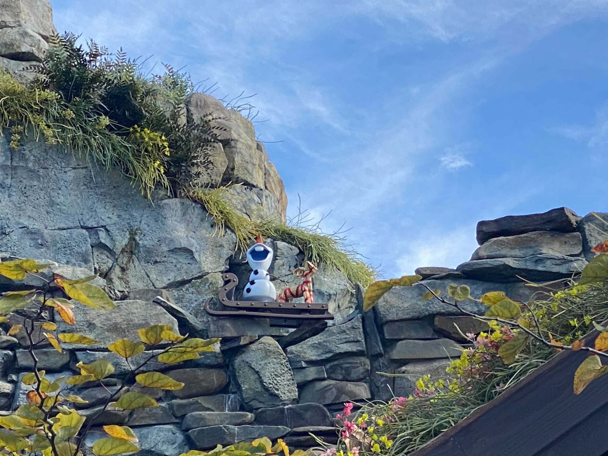 How to Participate in the NEW Olaf’s Holiday Tradition Expedition ...
