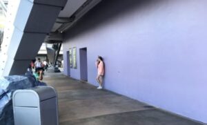 Disney in a Minute: What is the Purple Wall? | TouringPlans.com Blog