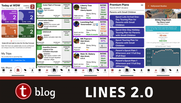 Step-By-Step Guide: Make and Use a Touring Plan in the Lines App ...