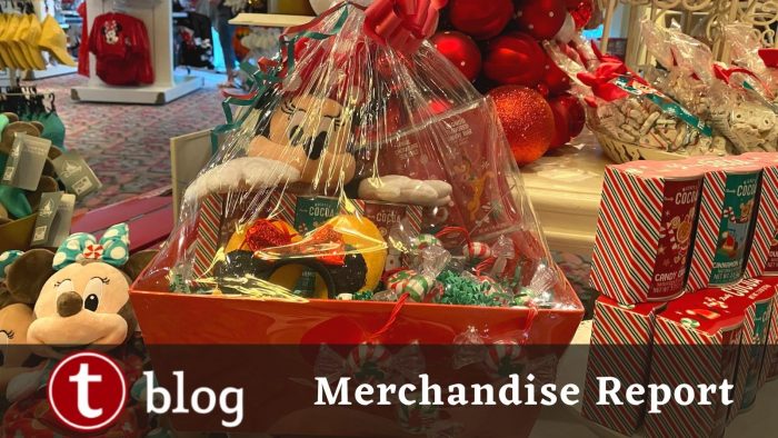 Surprise a Special Someone with a Custom Disney Holiday Gift Basket ...