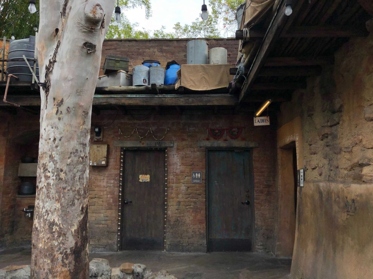 Where Are the Companion Restrooms in Animal Kingdom Located? - Disney ...