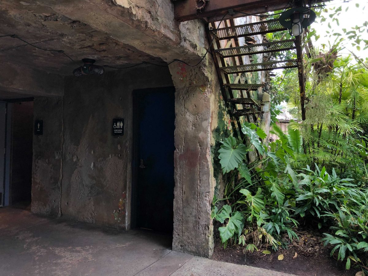Where Are the Companion Restrooms in Animal Kingdom Located? - Disney ...