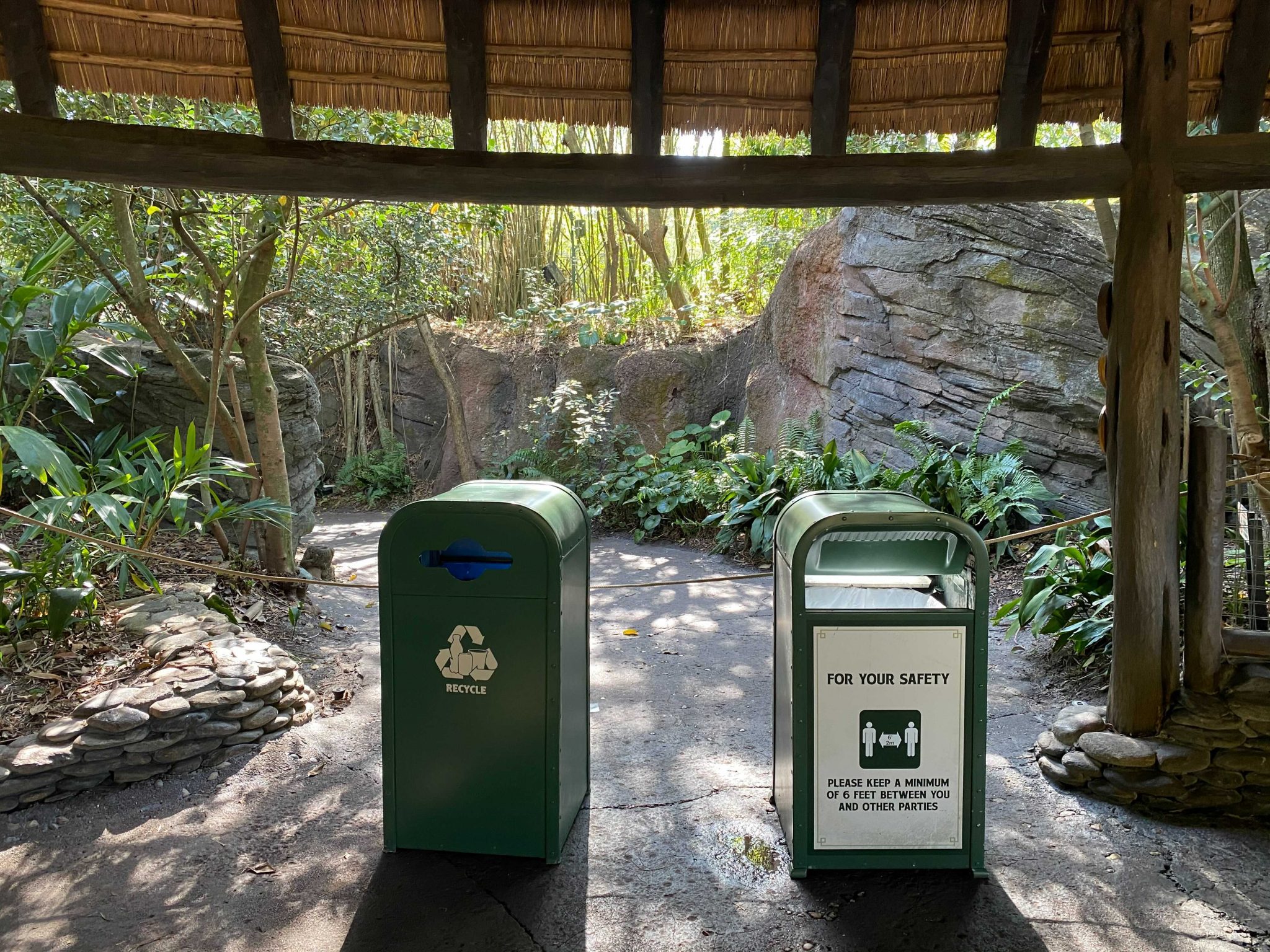 Gorilla Falls Exploration Trail at Animal Kingdom Under Partial ...