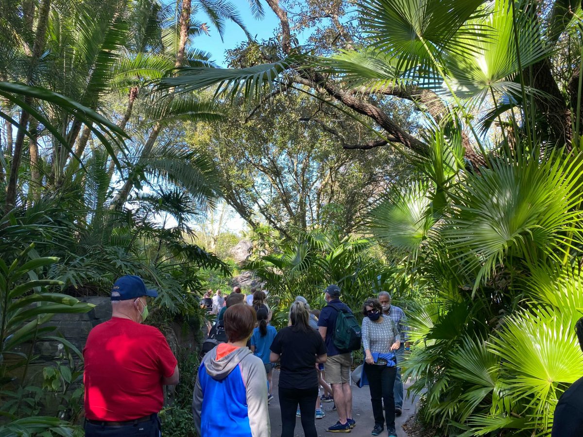 Gorilla Falls Exploration Trail at Animal Kingdom Under Partial ...
