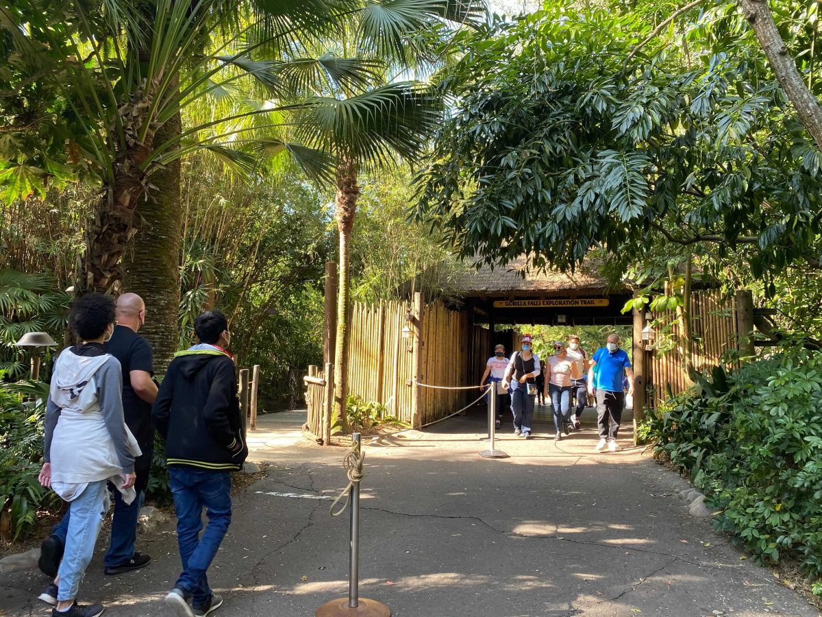 Gorilla Falls Exploration Trail at Animal Kingdom Under Partial ...