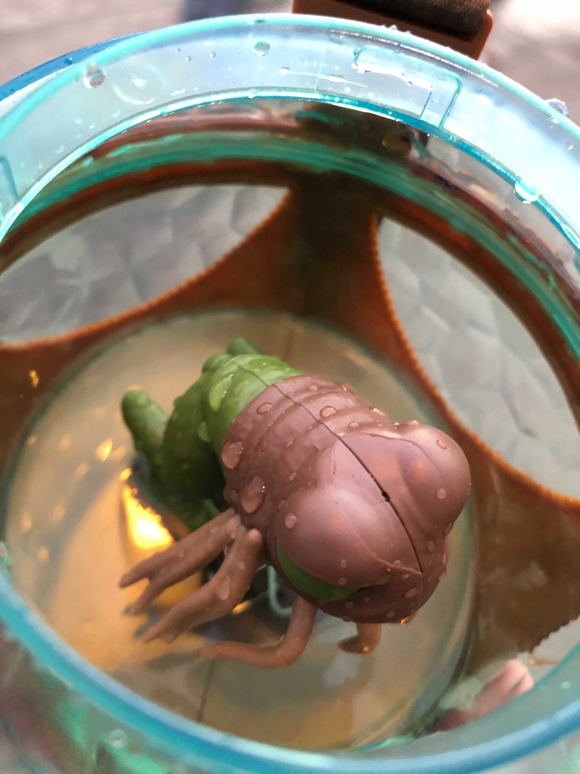 NEW – Get Your Galactic Credits Ready for the Paddy Frog Sipper at Star ...