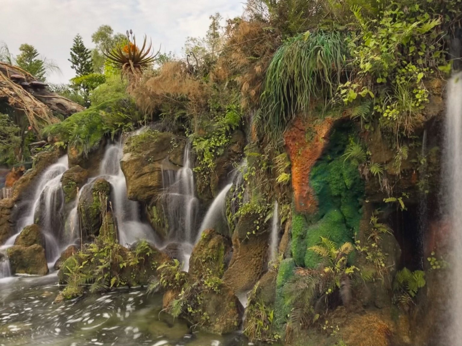 The Most Romantic Places in Disney’s Animal Kingdom - Disney by Mark