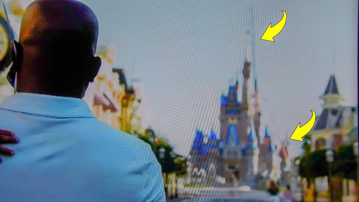 The SATURDAY SIX Presents: Our Favorite @bioreconstruct Photos From ...