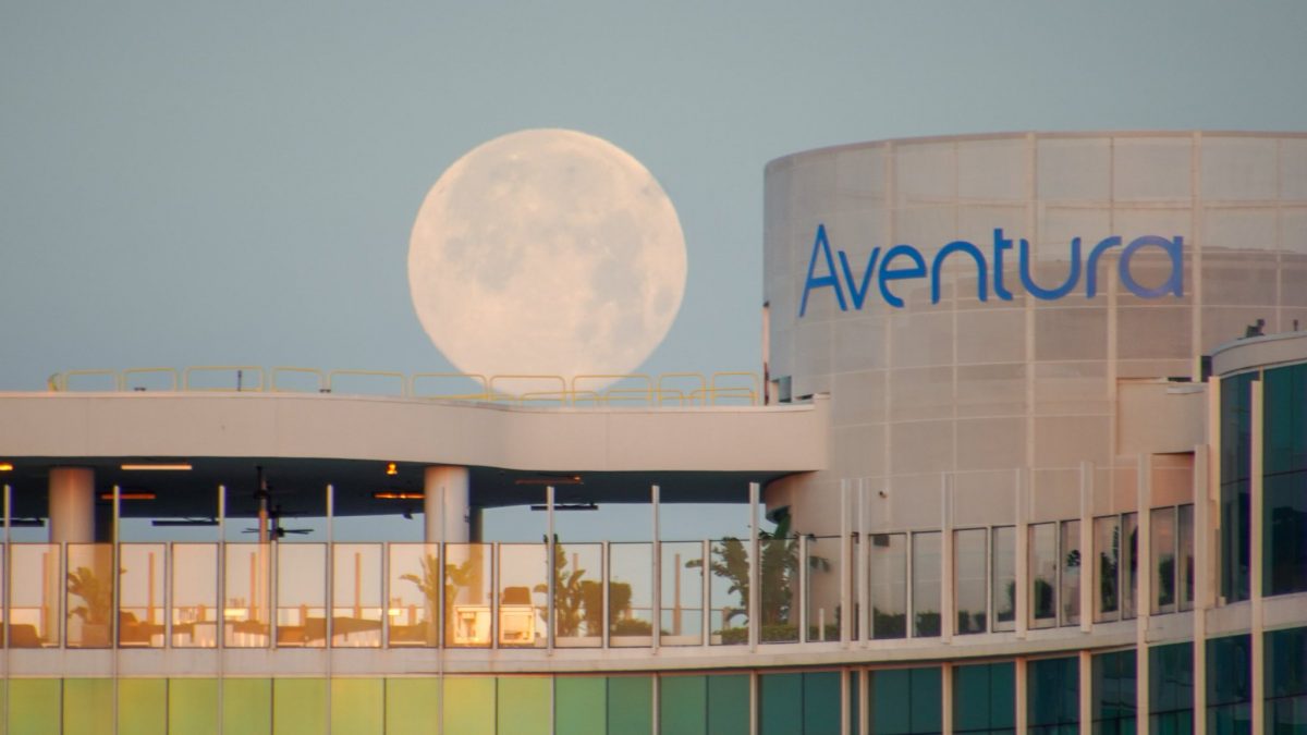 The SATURDAY SIX Celebrates 10 Years of @bioreconstruct – Amazing ...