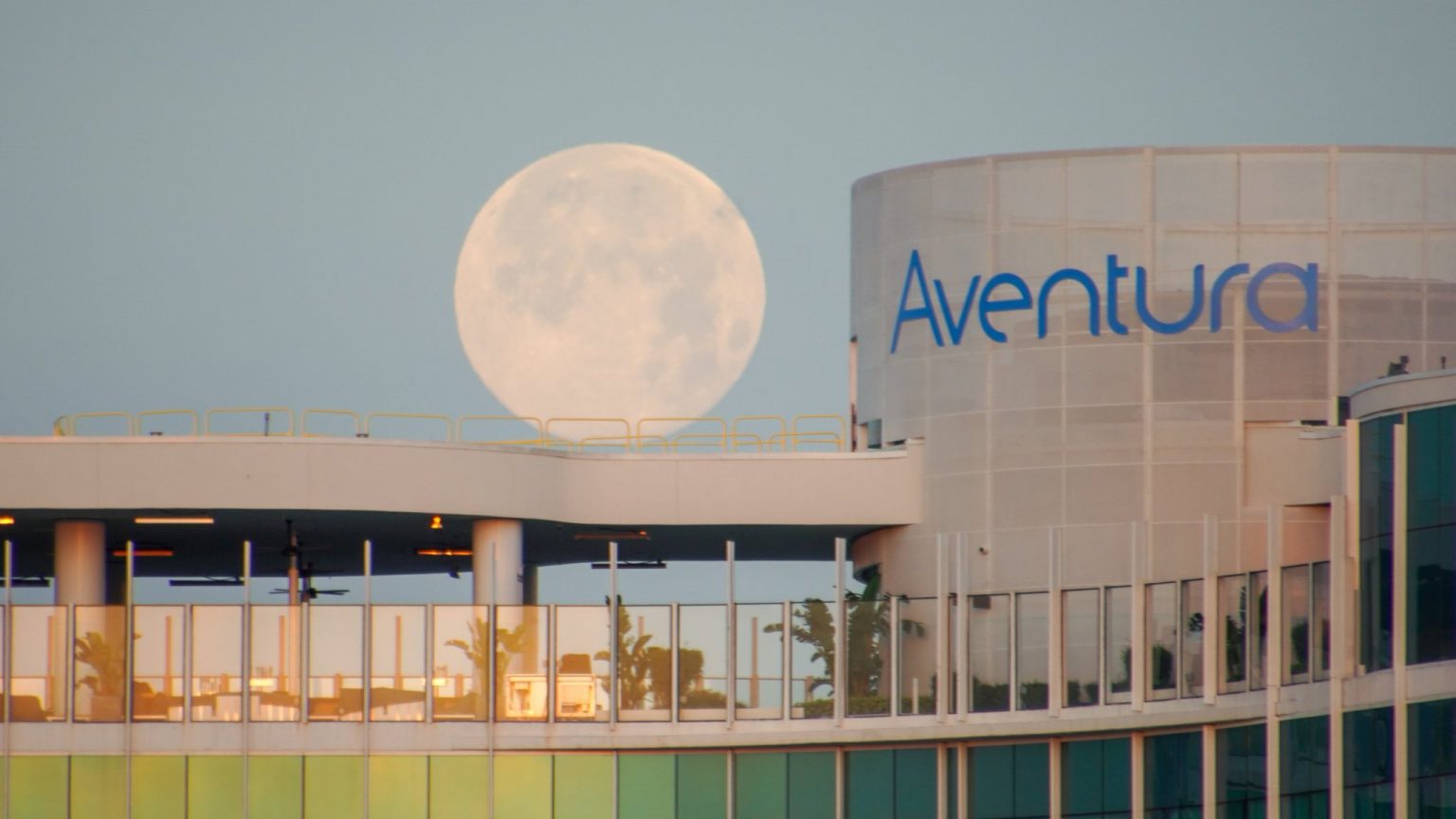 The SATURDAY SIX Celebrates 10 Years of @bioreconstruct – Amazing ...