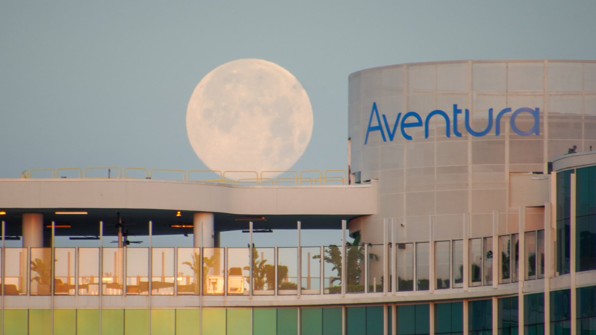 The SATURDAY SIX Celebrates 10 Years of @bioreconstruct – Amazing ...