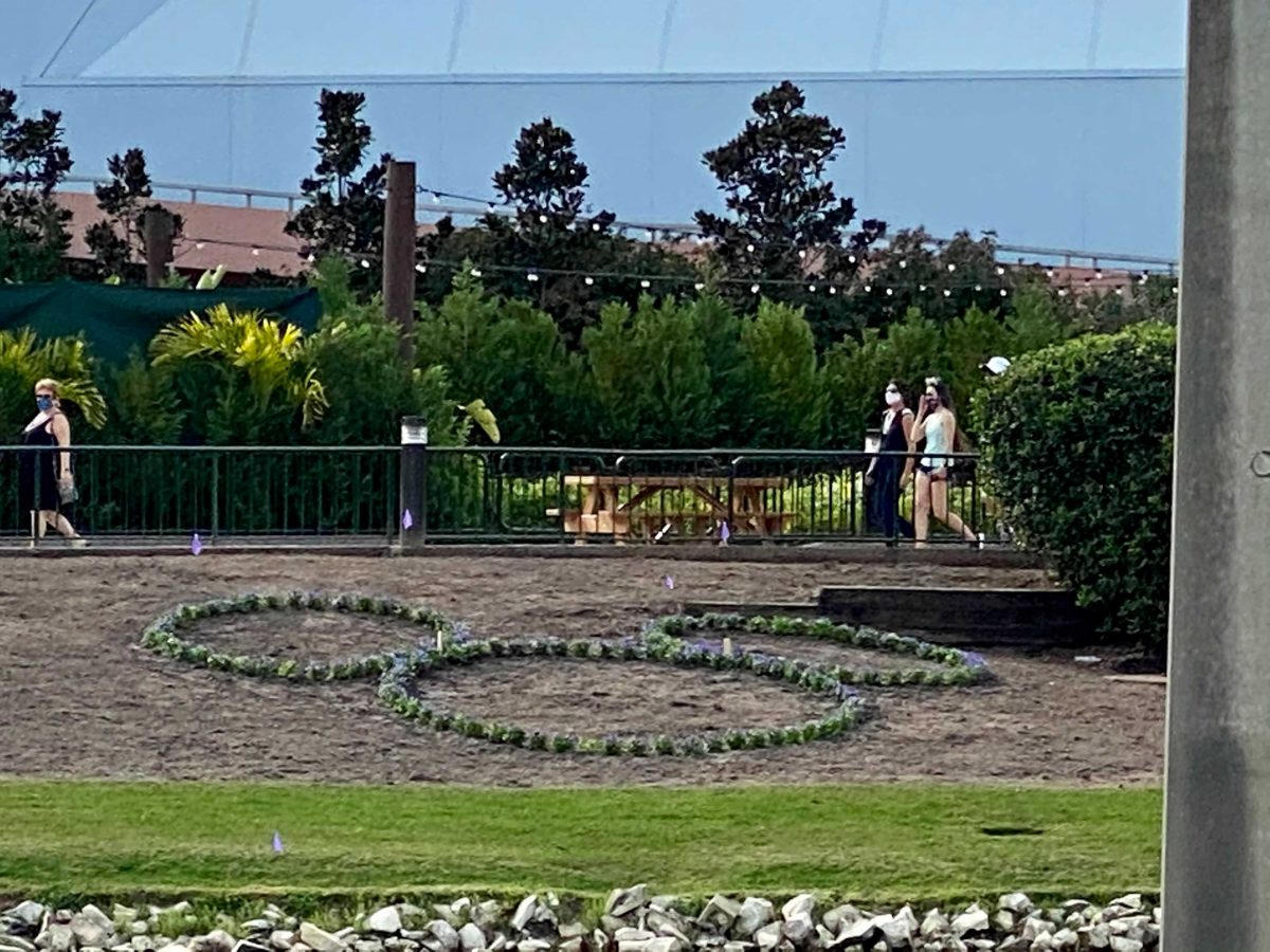 PHOTOS – What’s New at EPCOT: Flower and Garden Festival Preparation ...