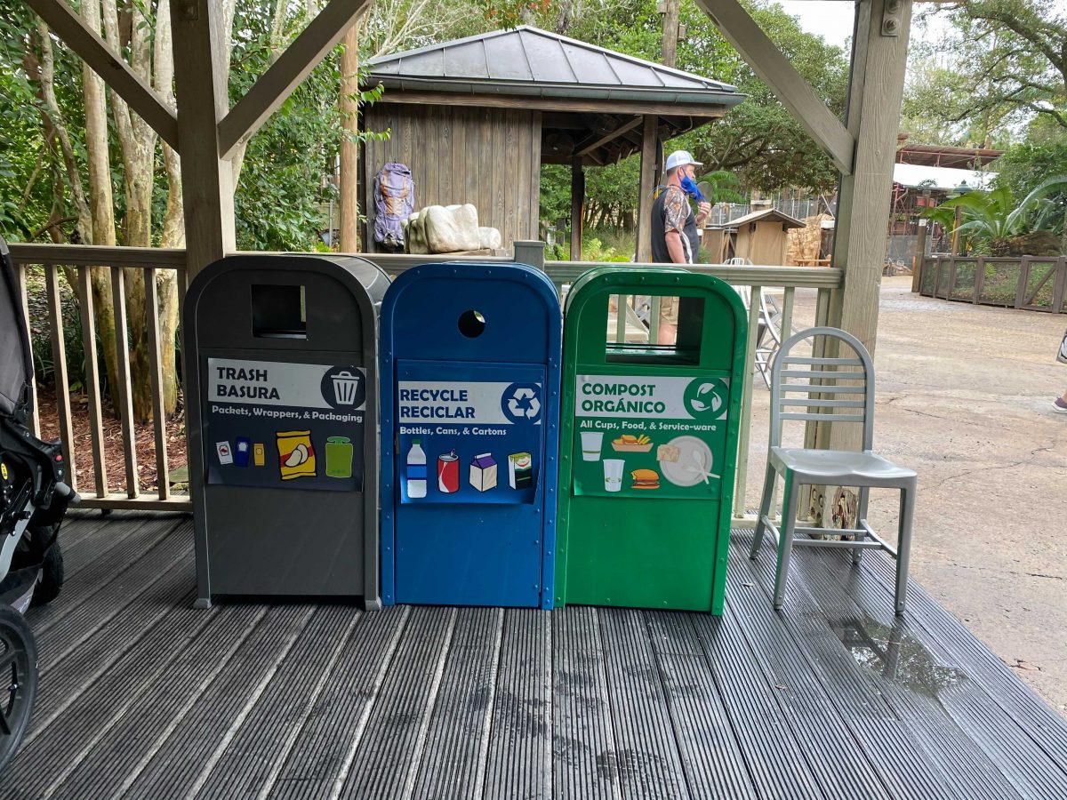 PHOTOS – Park Hopping at Animal Kingdom and EPCOT on a Busy Holiday ...