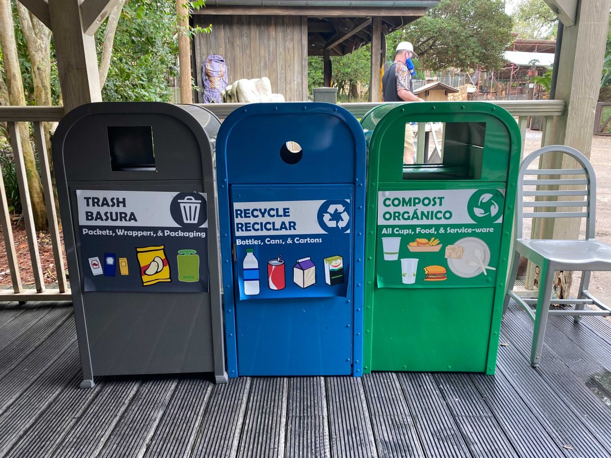 PHOTOS – Park Hopping at Animal Kingdom and EPCOT on a Busy Holiday ...