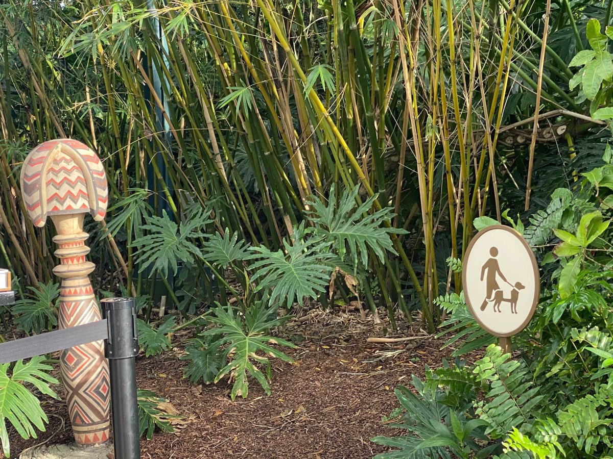 What You Need to Know About Service Animals at Walt Disney World – Part ...