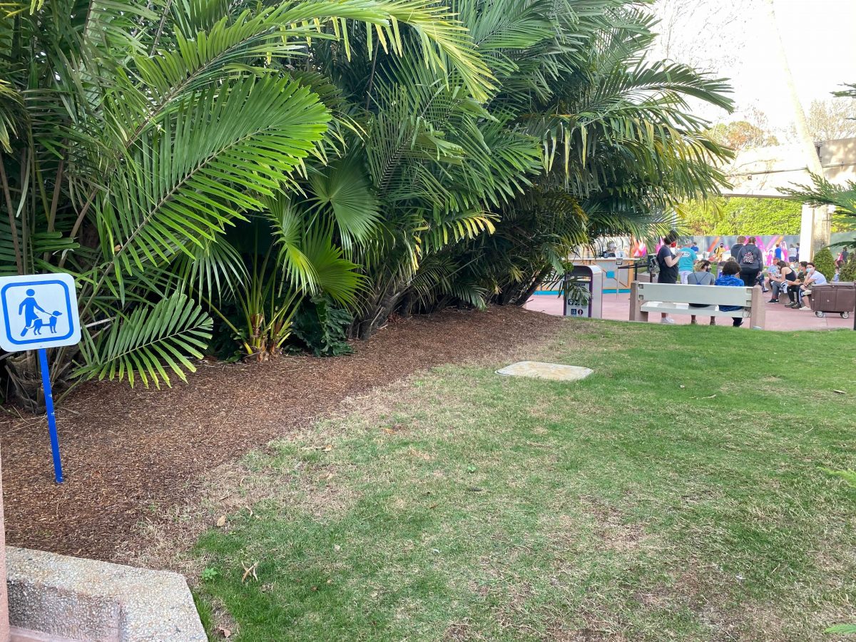 What You Need to Know About Service Animals at Walt Disney World – Part ...