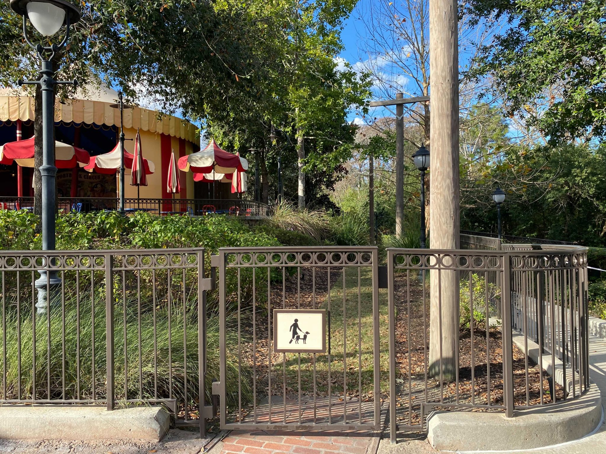 What You Need to Know About Service Animals at Walt Disney World – Part ...