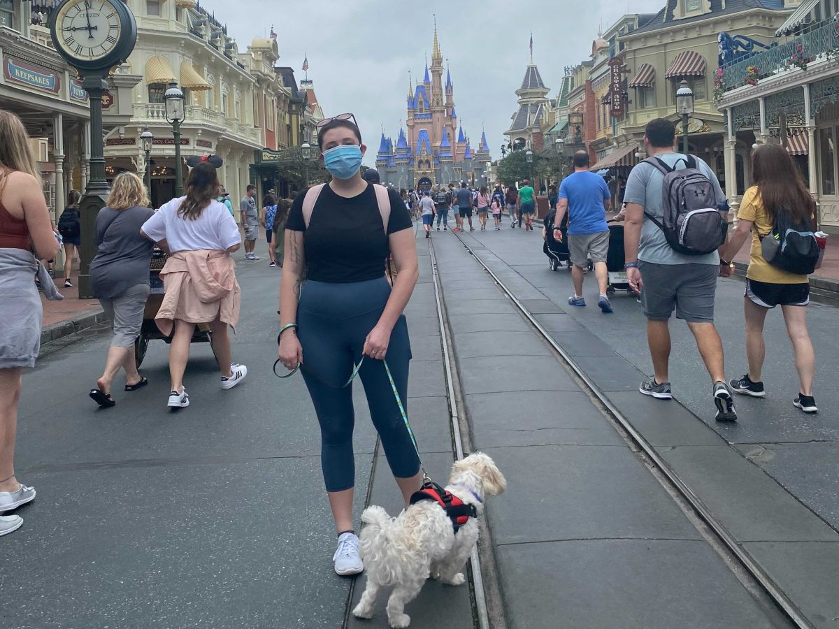 What You Need to Know About Service Animals at Walt Disney World – Part ...