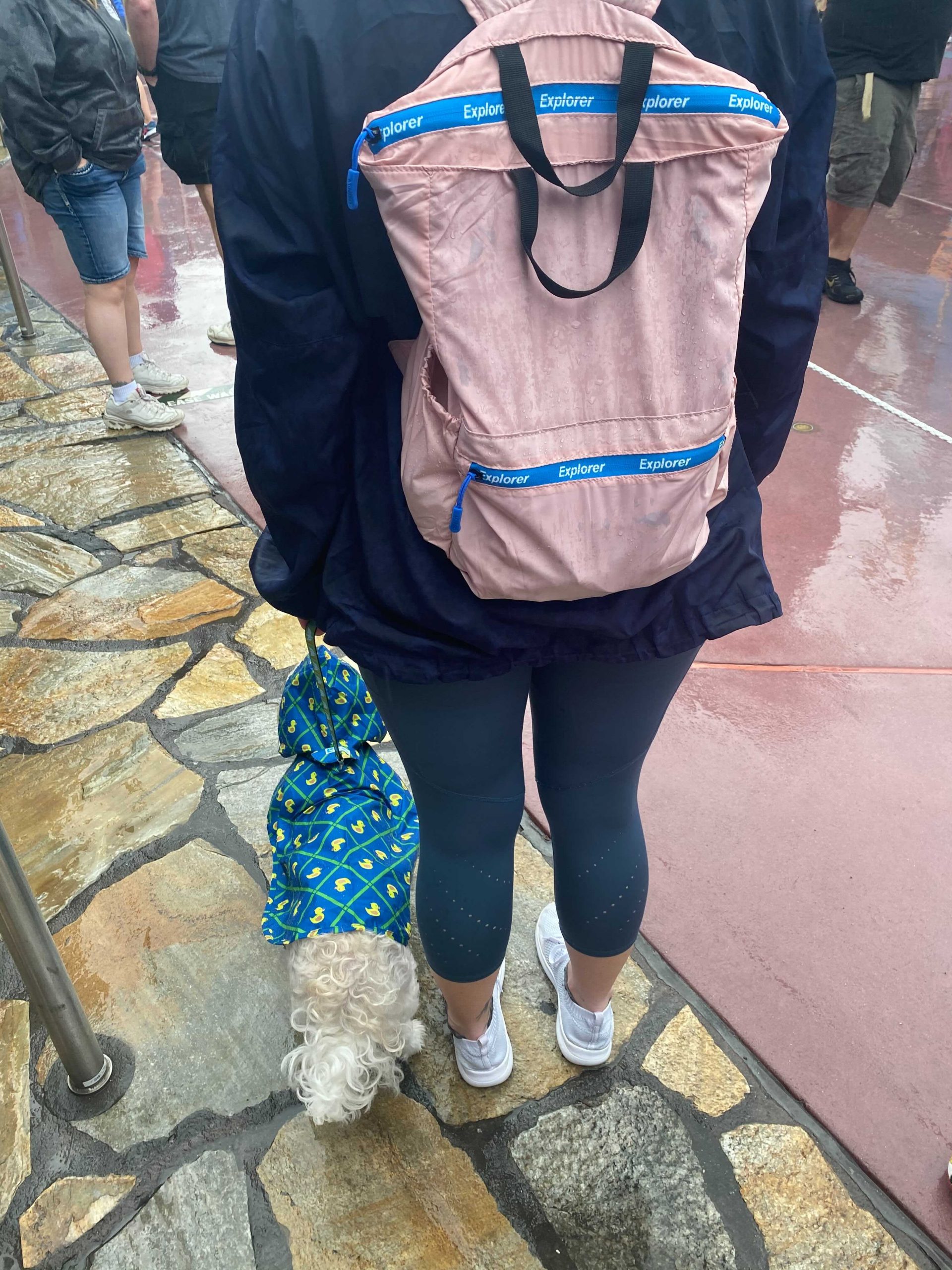 What You Need to Know About Service Animals at Walt Disney World – Part ...