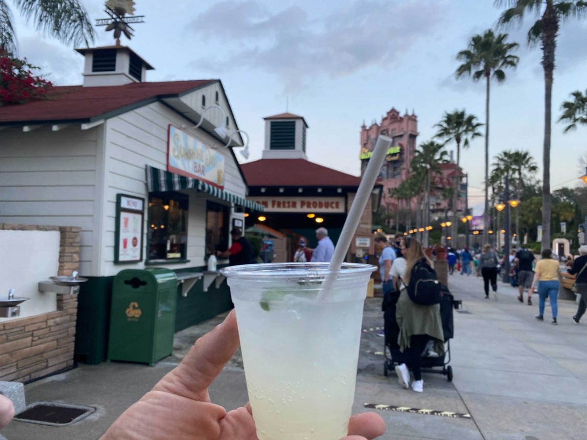 REVIEW – Don’t Overlook Sunshine Days Bar at Disney’s Hollywood Studios ...