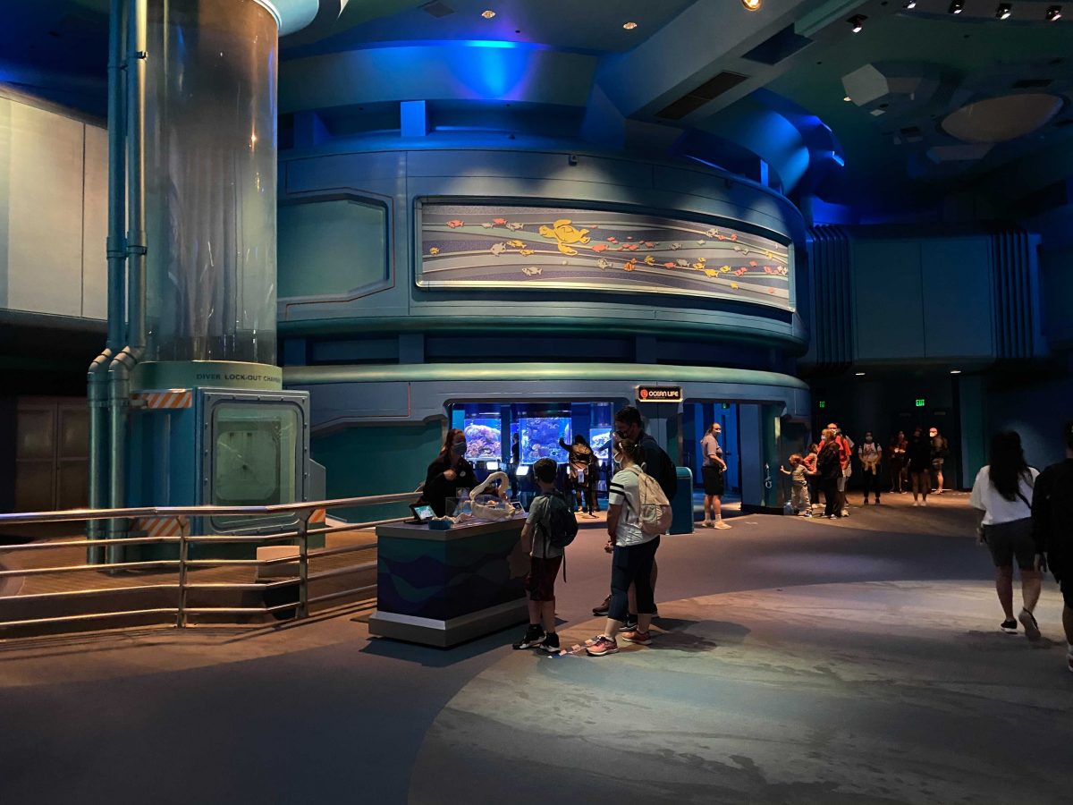 Here’s What Social Distancing Looks Like at The Seas With Nemo and ...