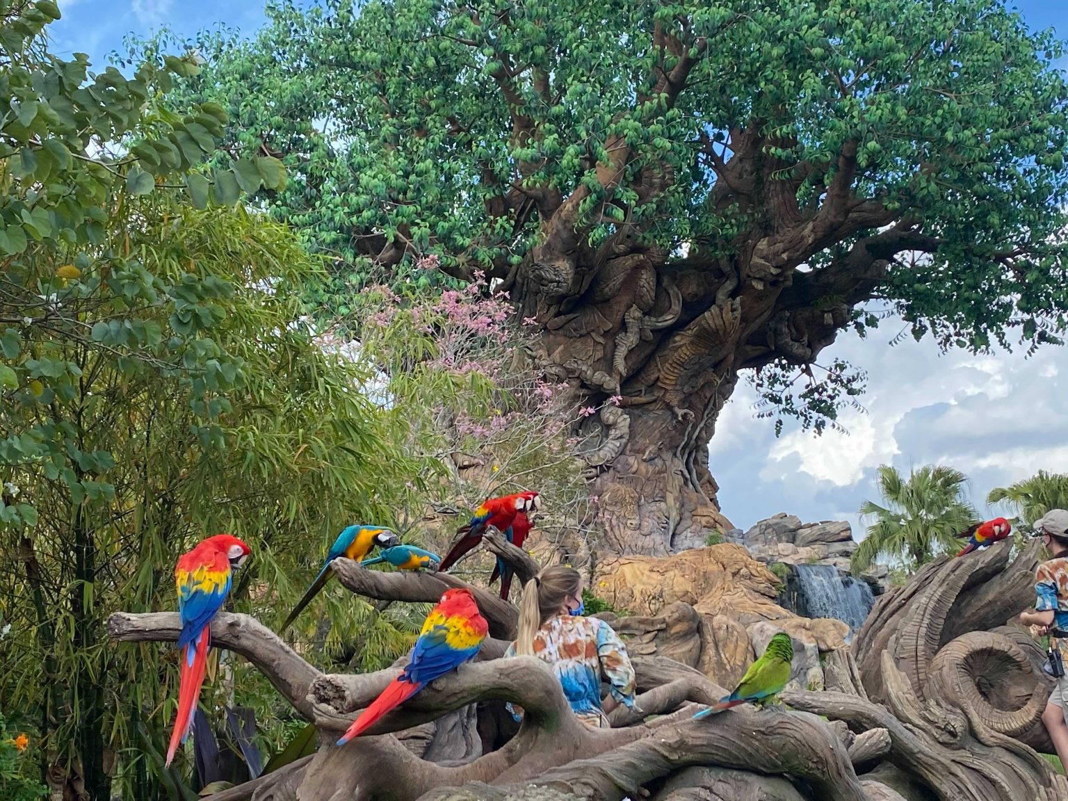 PHOTOS – Park Hopping at Animal Kingdom and EPCOT on a Busy Holiday ...