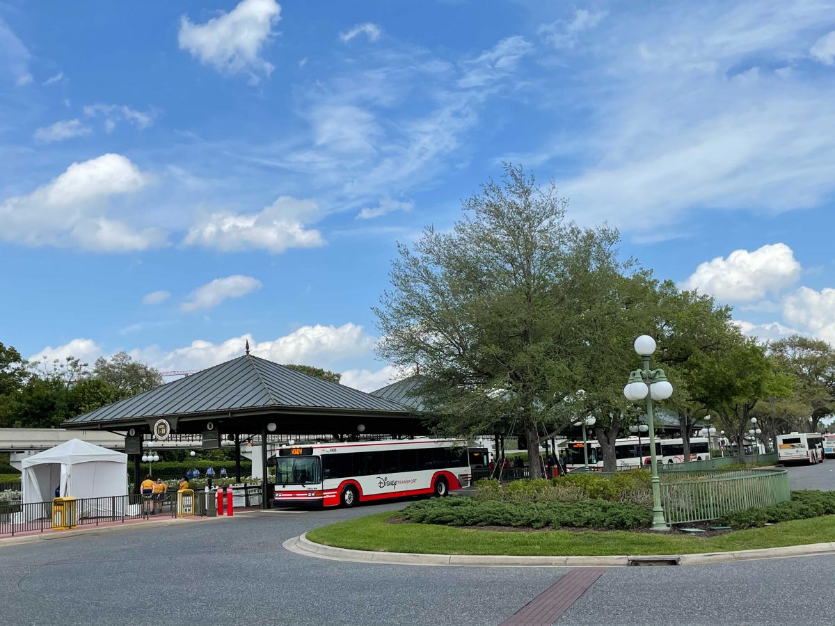 Let’s Look at the Disney Bus Terminals at Each Theme Park and Disney ...