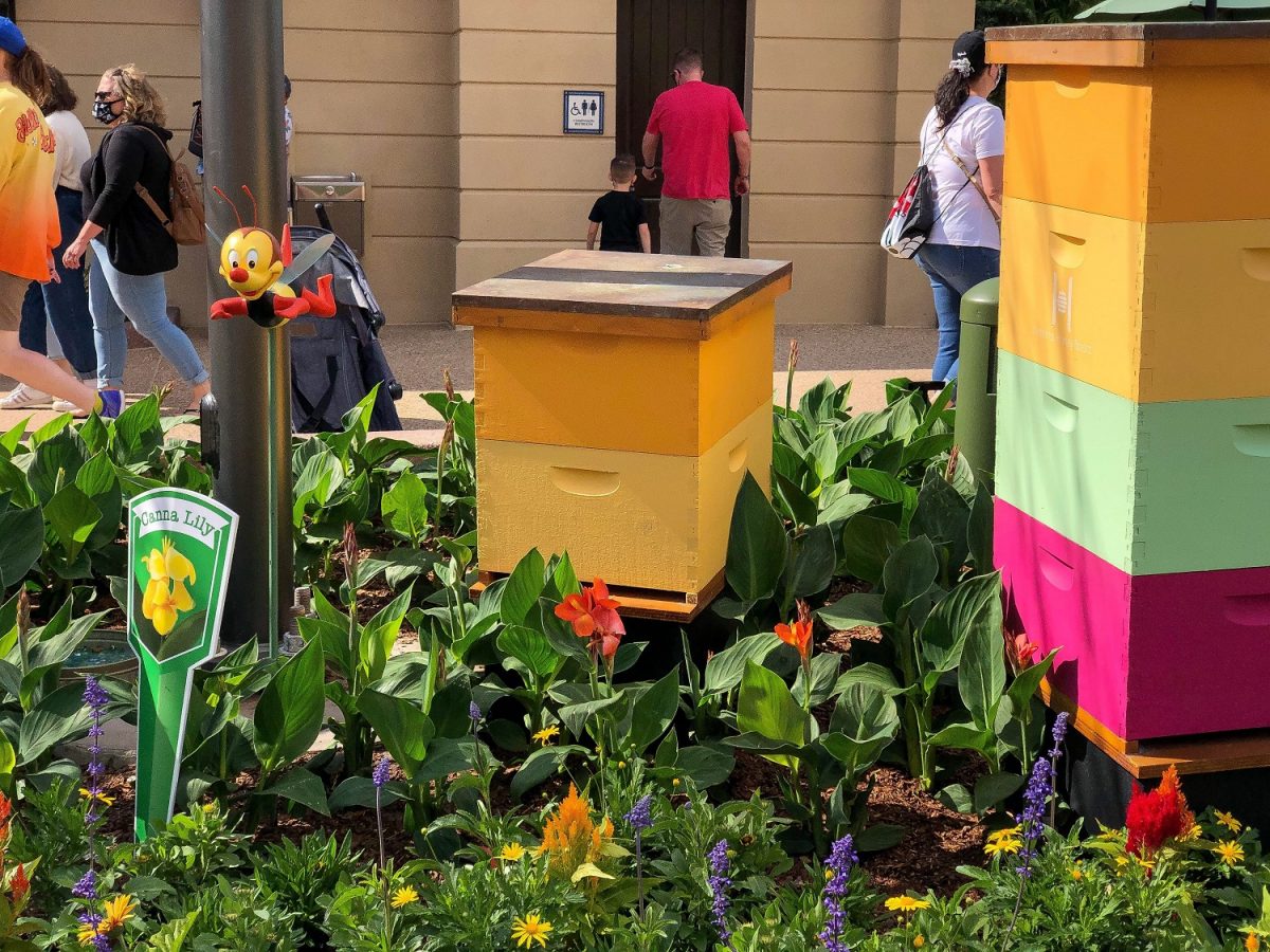 What’s the Buzz About Spike’s Pollen-Nation Exploration – Flower and ...