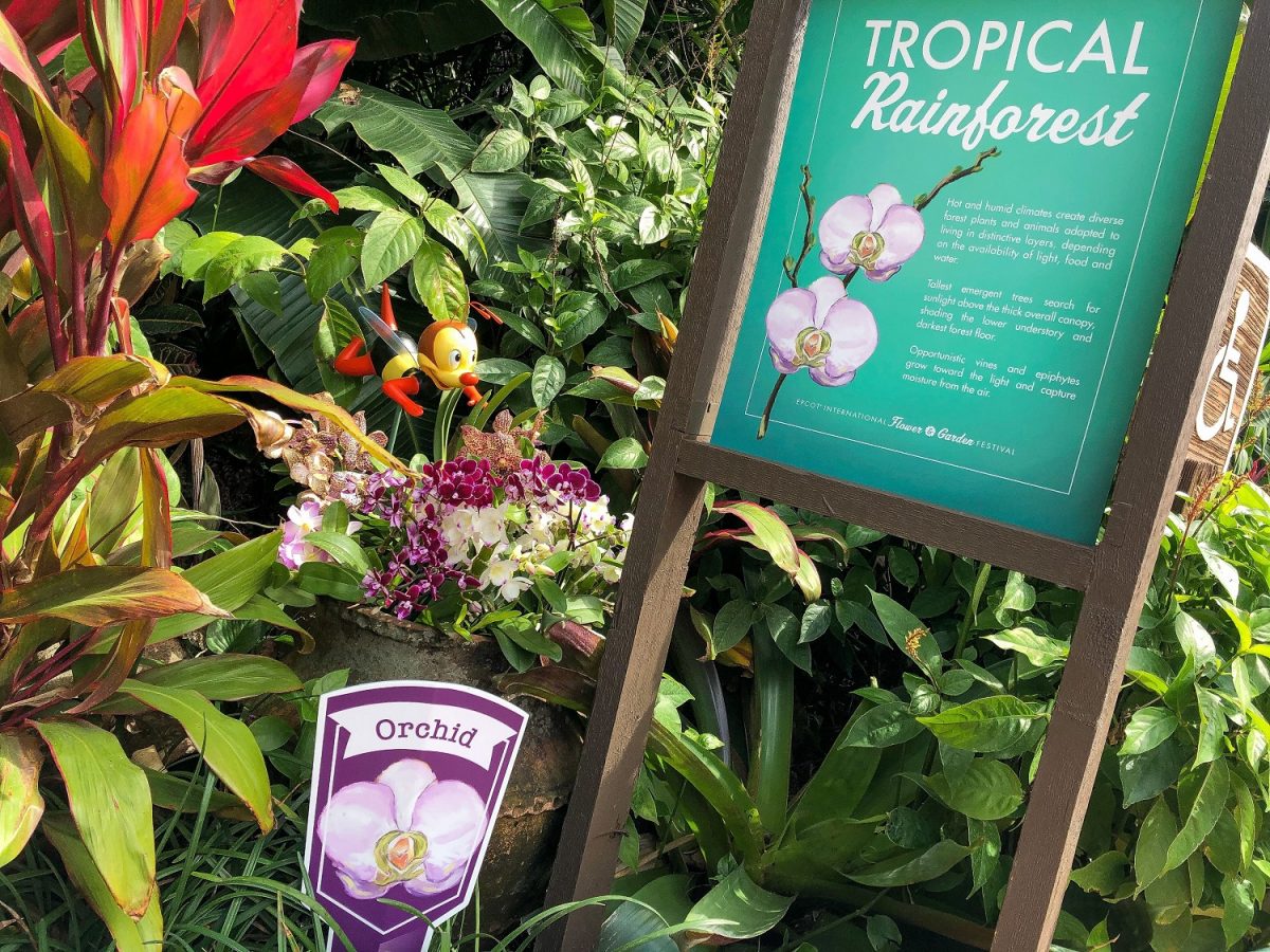 What’s the Buzz About Spike’s Pollen-Nation Exploration – Flower and ...