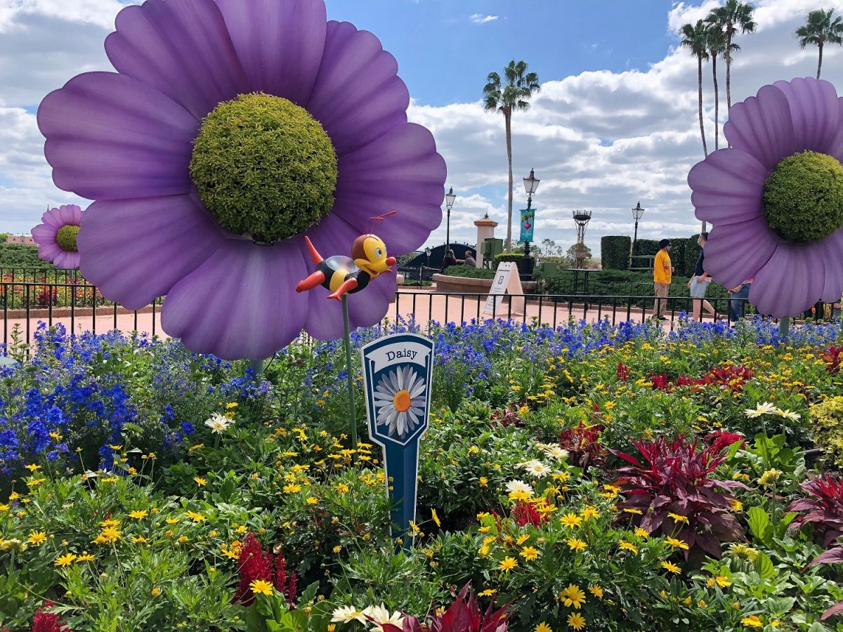 What’s the Buzz About Spike’s Pollen-Nation Exploration – Flower and ...