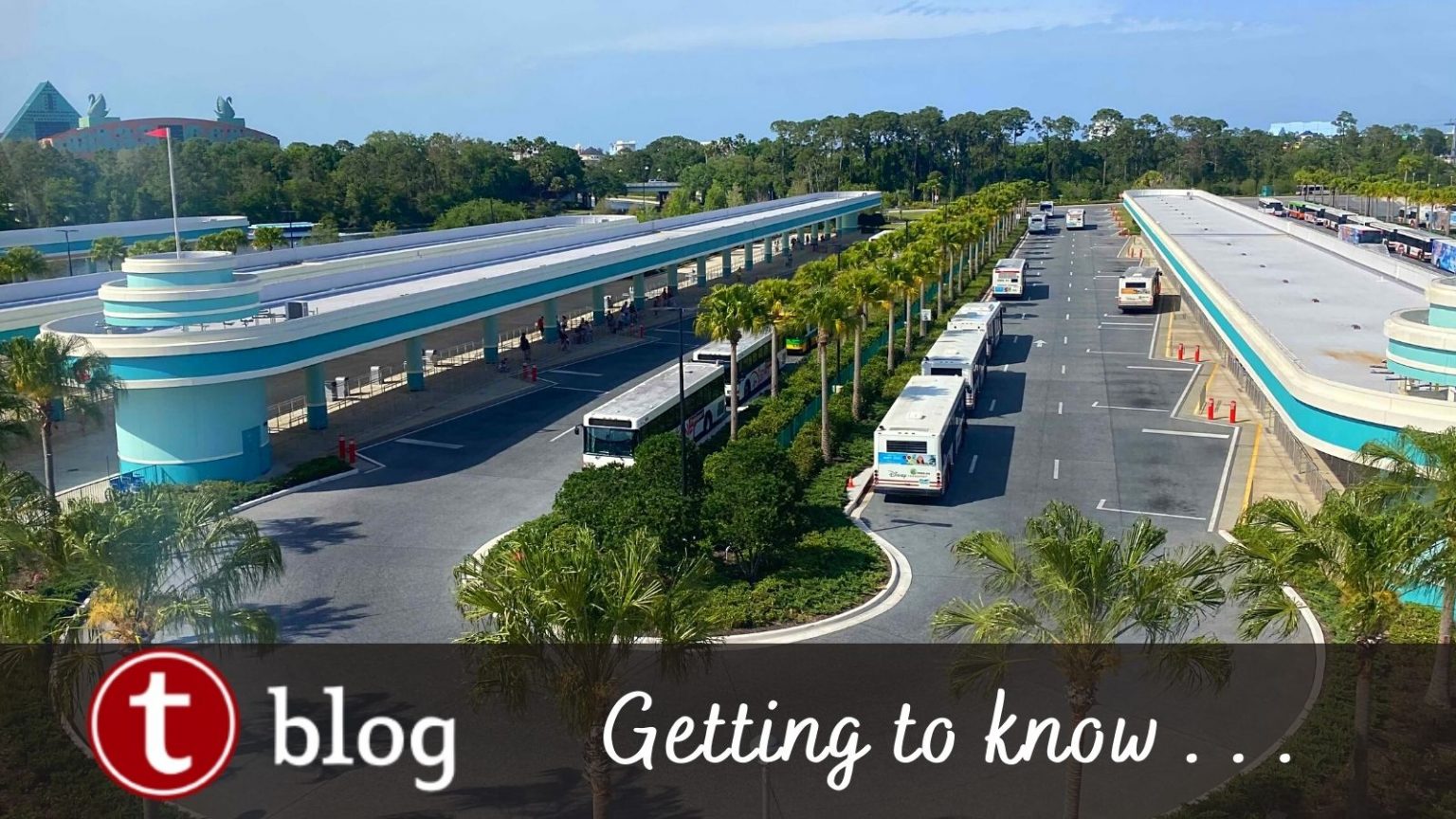 Let’s Look at the Disney Bus Terminals at Each Theme Park and Disney ...