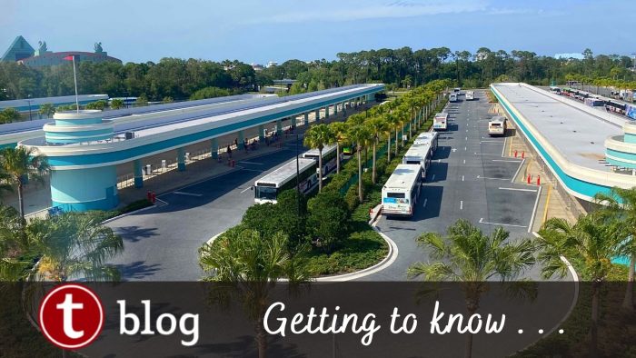 Let’s Look at the Disney Bus Terminals at Each Theme Park and Disney ...
