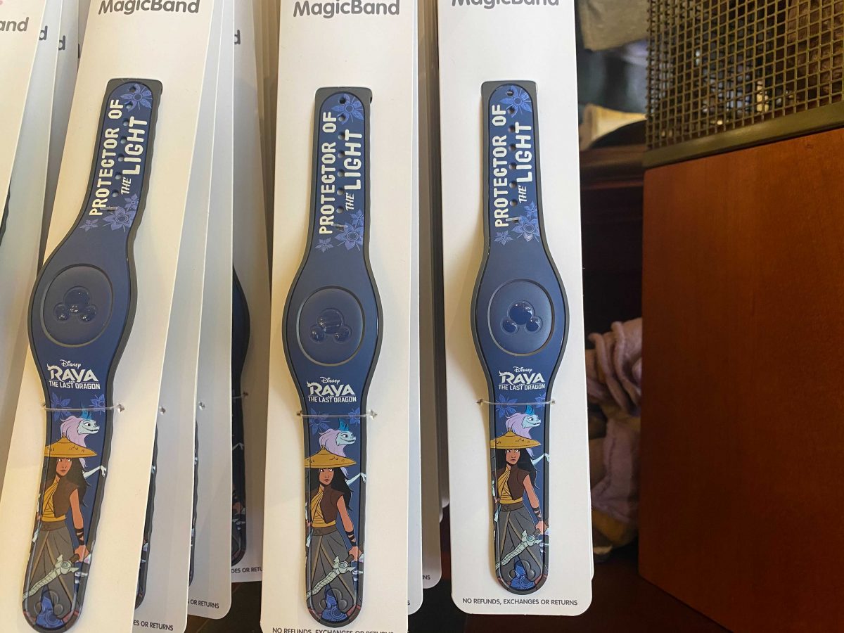 A Look at Raya Merchandise at Walt Disney World | TouringPlans.com Blog