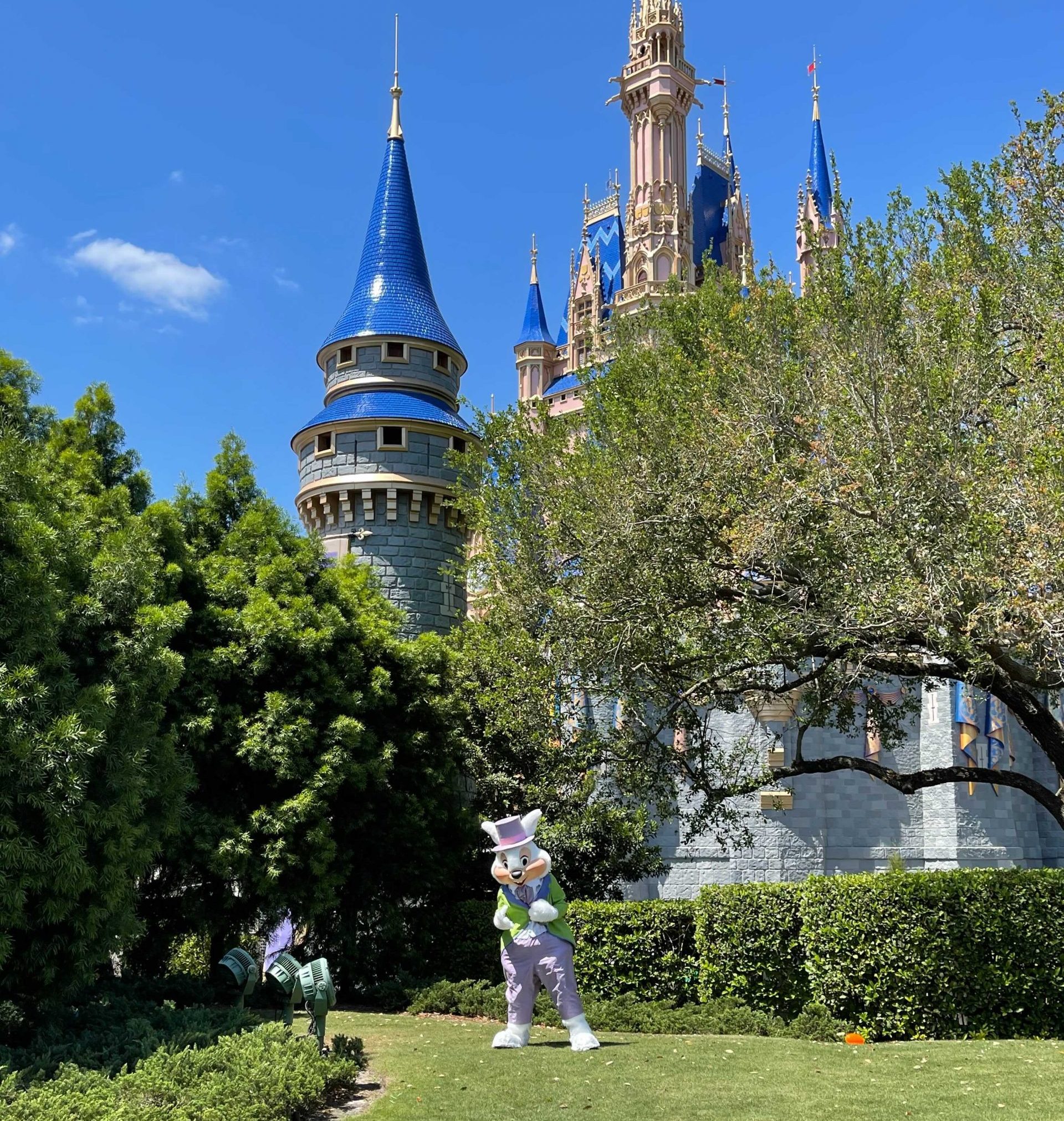 PHOTOS – The Easter Bunny Arrives at Magic Kingdom as Easter Crowds ...