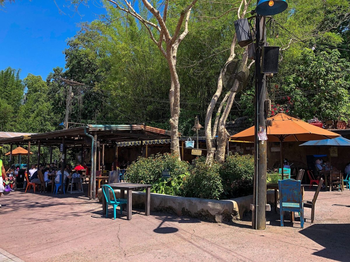 REVIEW – Harambe Market Satisfies a Craving for Adventure ...