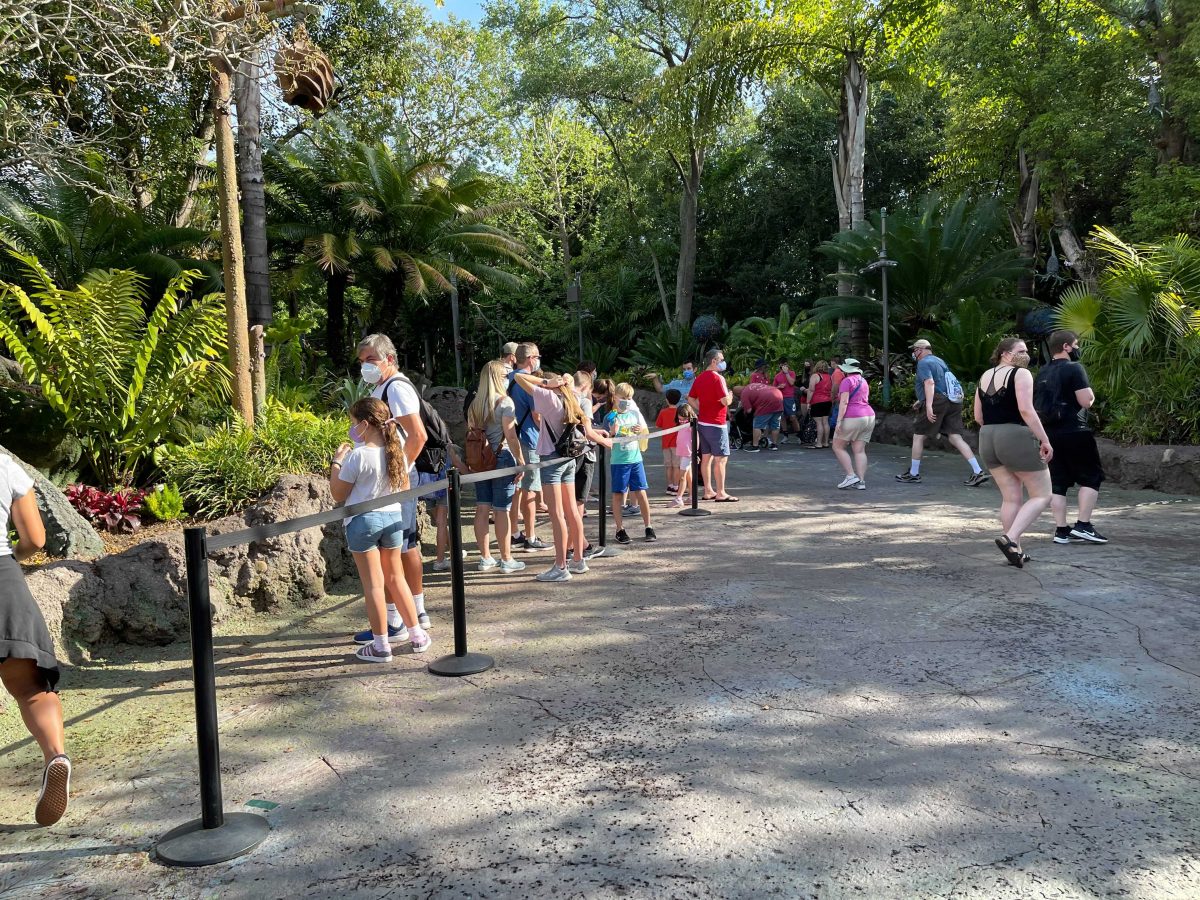 PHOTOS – New Specialty Drinks and New Extended Queue Procedures at ...