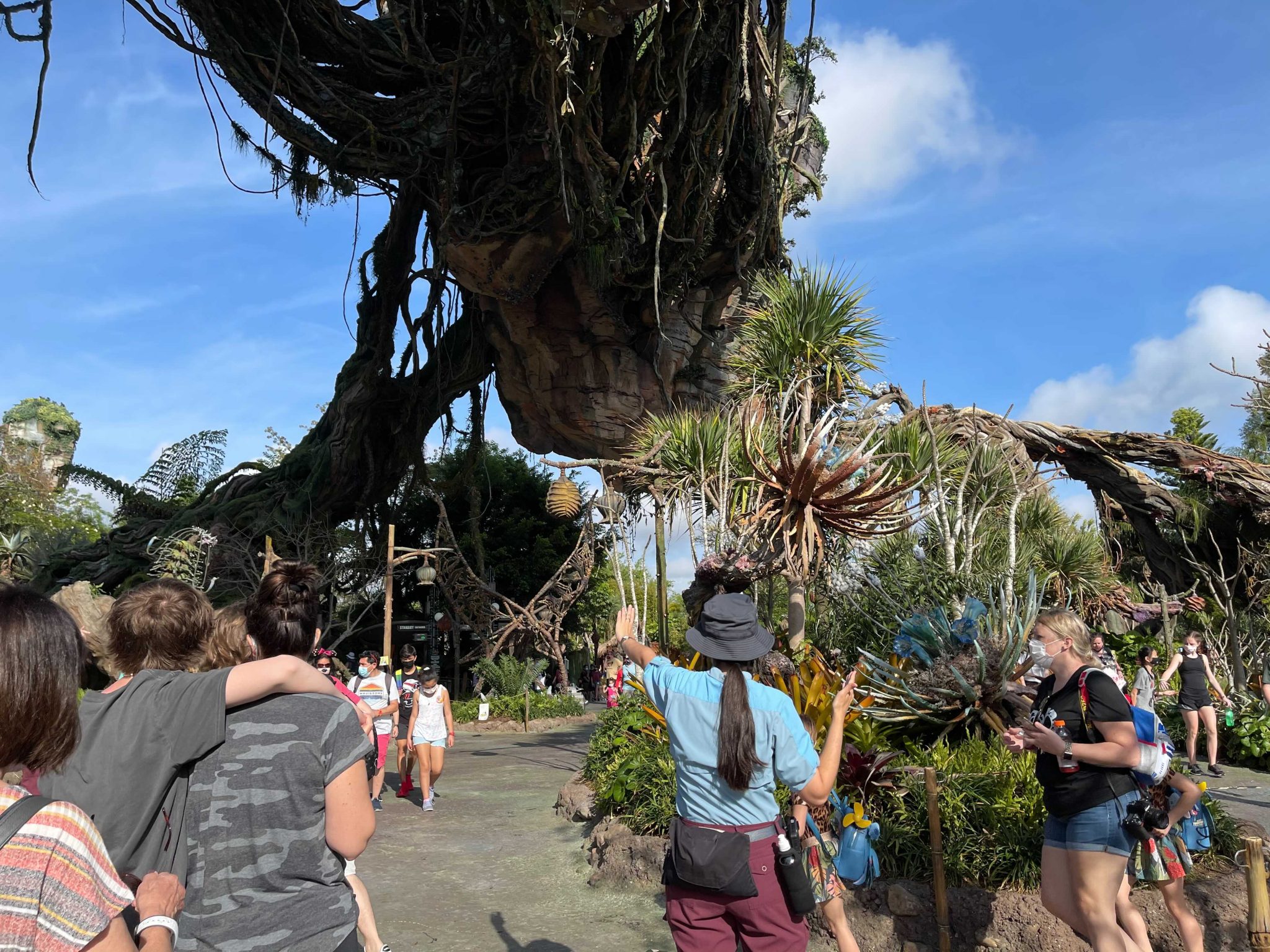 PHOTOS – New Specialty Drinks and New Extended Queue Procedures at ...