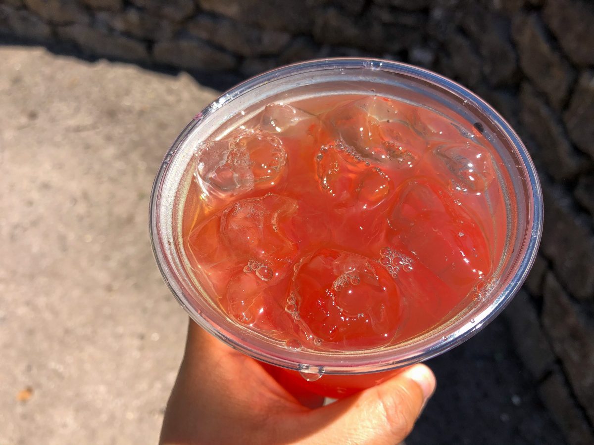 REVIEW – The Hits and Misses of the NEW Specialty Drinks at Disney’s ...
