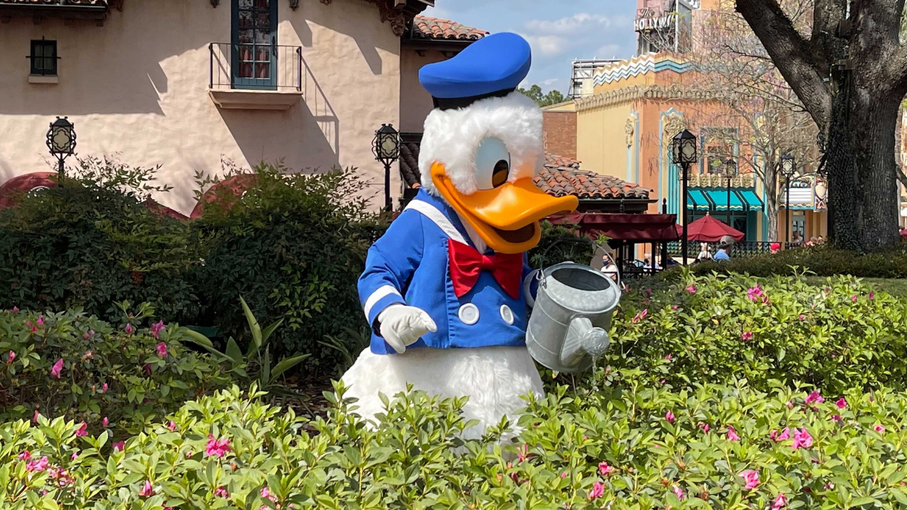 ABCs of WDW: Learning the Lingo | TouringPlans.com Blog